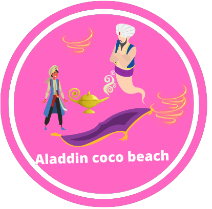 Accueil - aladdincocobeach